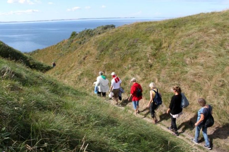 Oasen Fur - Udsatte har også brug for ferie